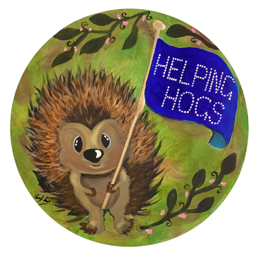 Helping Hogs – Helping Hedgehogs – North Yorkshire